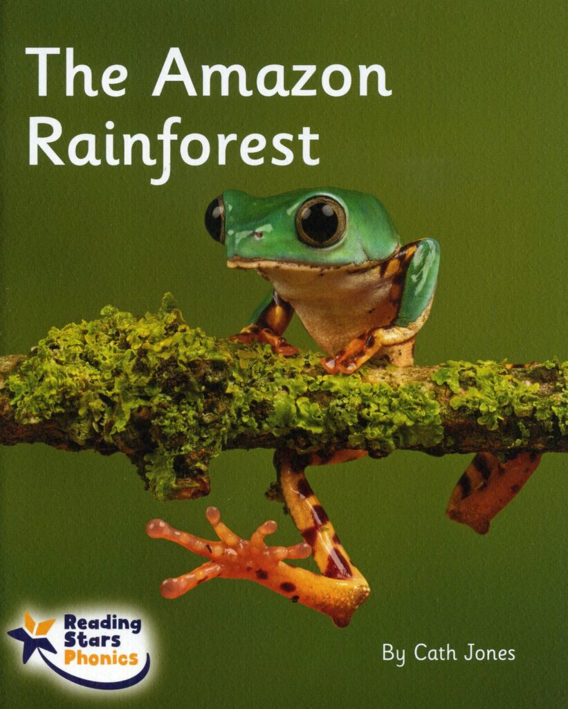 The Amazon Rainforest - Laburnum House Educational