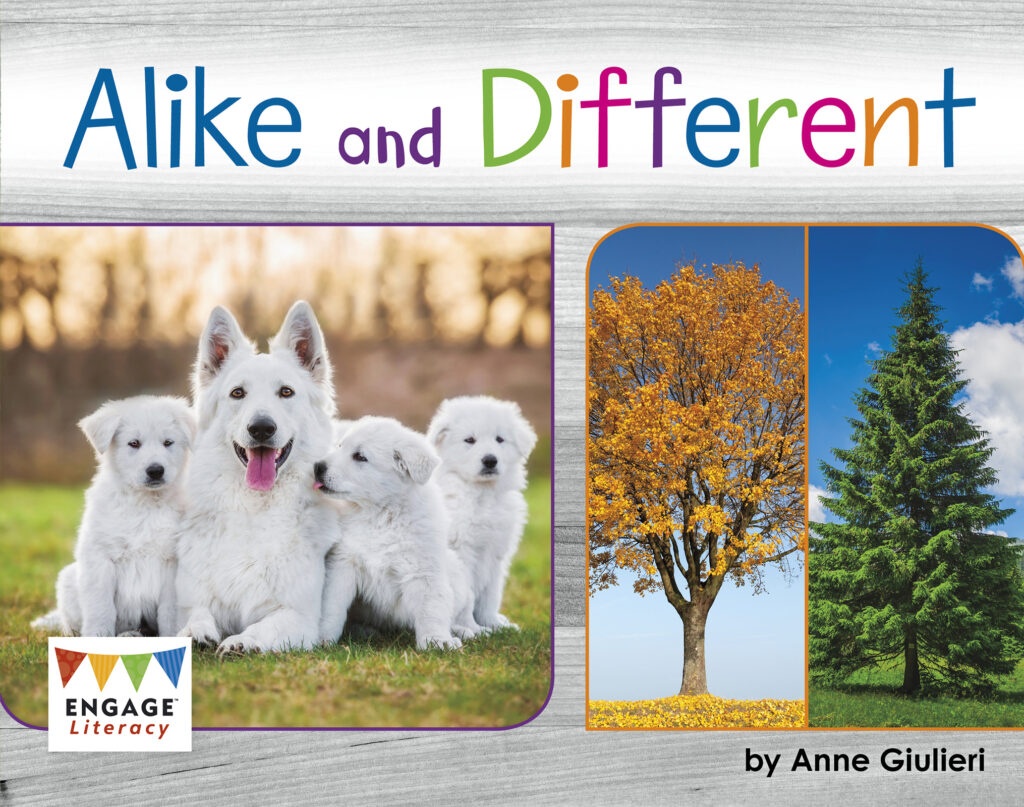 Alike And Different - Laburnum House Educational