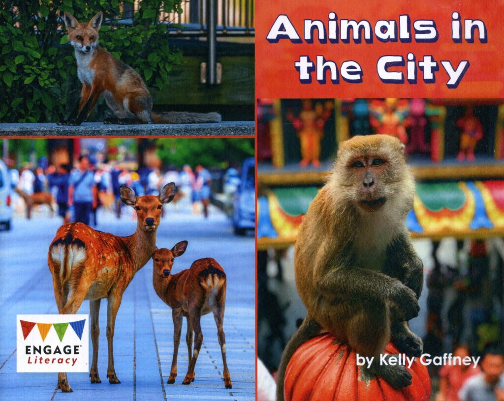 Animals In The City - Laburnum House Educational
