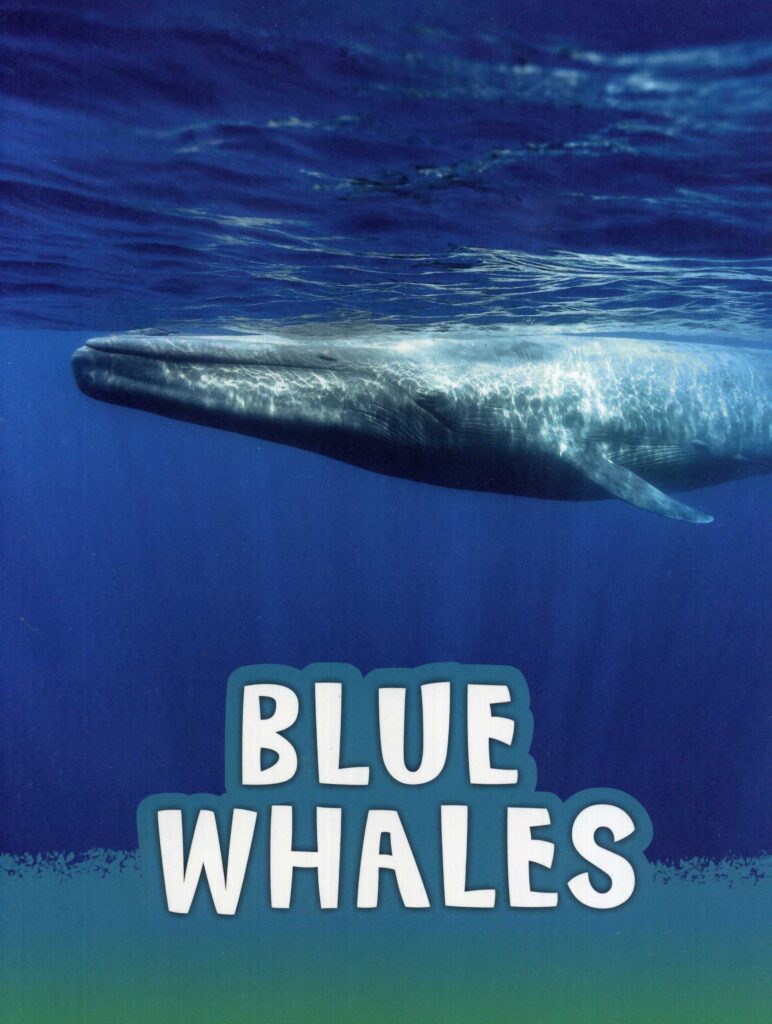 Blue Whales - Laburnum House Educational