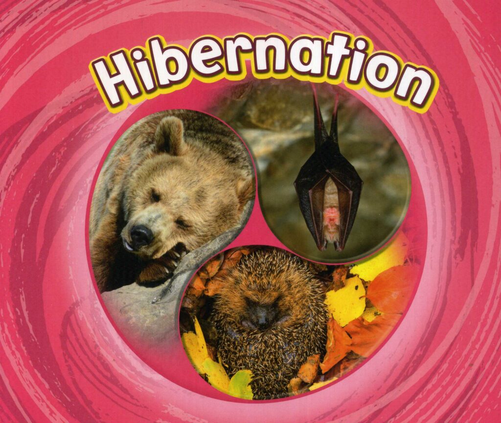 Hibernation - Laburnum House Educational