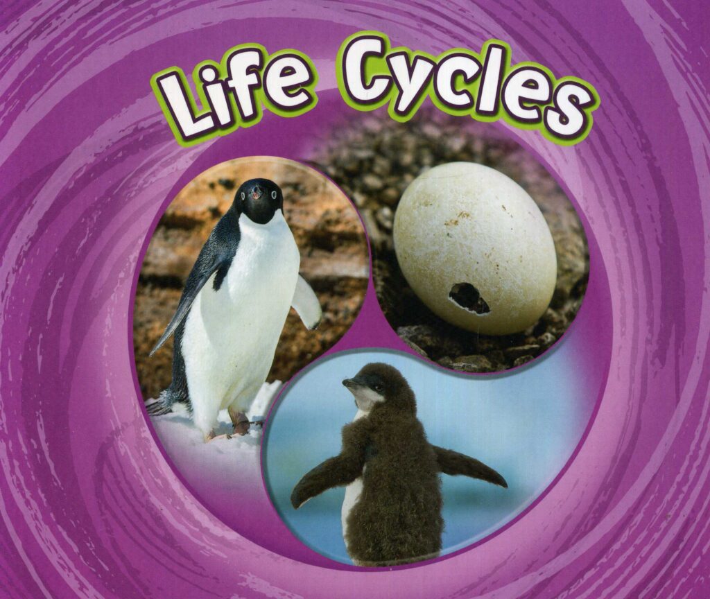 Life Cycles - Laburnum House Educational