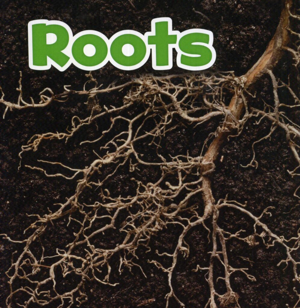 Roots - Laburnum House Educational