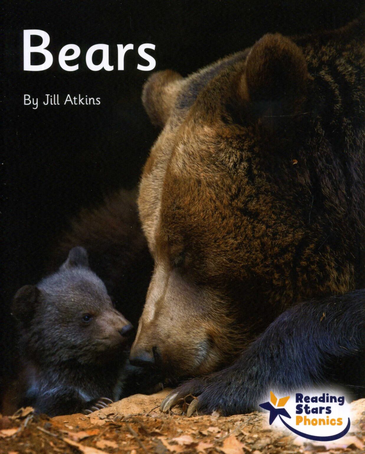 Phase 5 Phonics Books For Schools - Laburnum House Educational