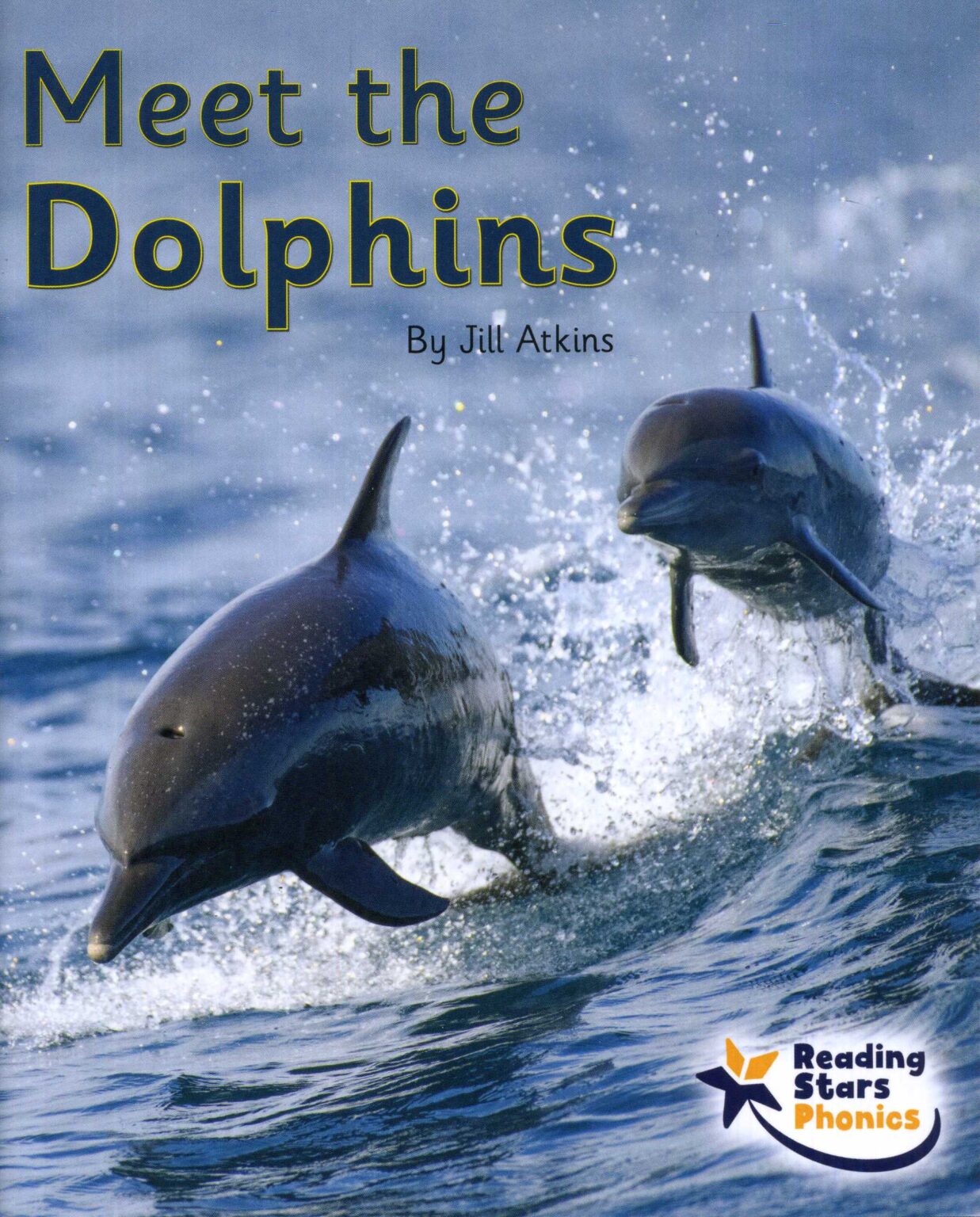 Meet The Dolphins - Laburnum House Educational