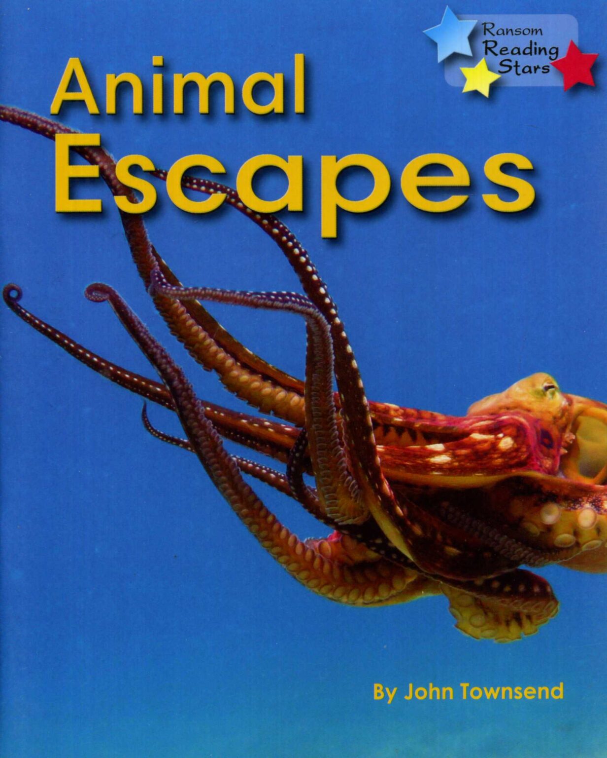 Animal Escapes - Laburnum House Educational