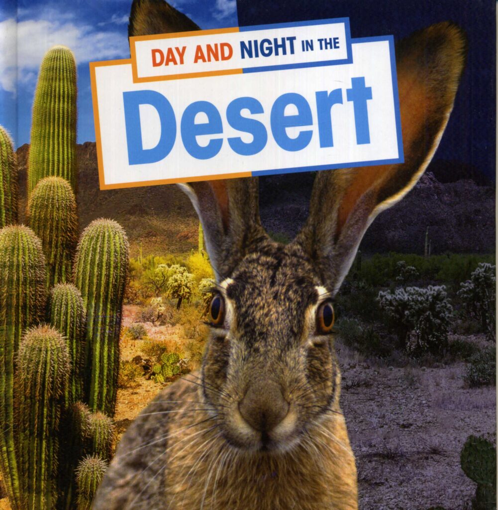 Day And Night In The Desert - Laburnum House Educational
