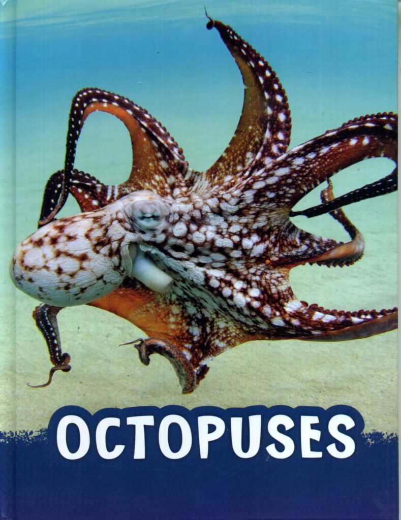 Octopuses - Laburnum House Educational