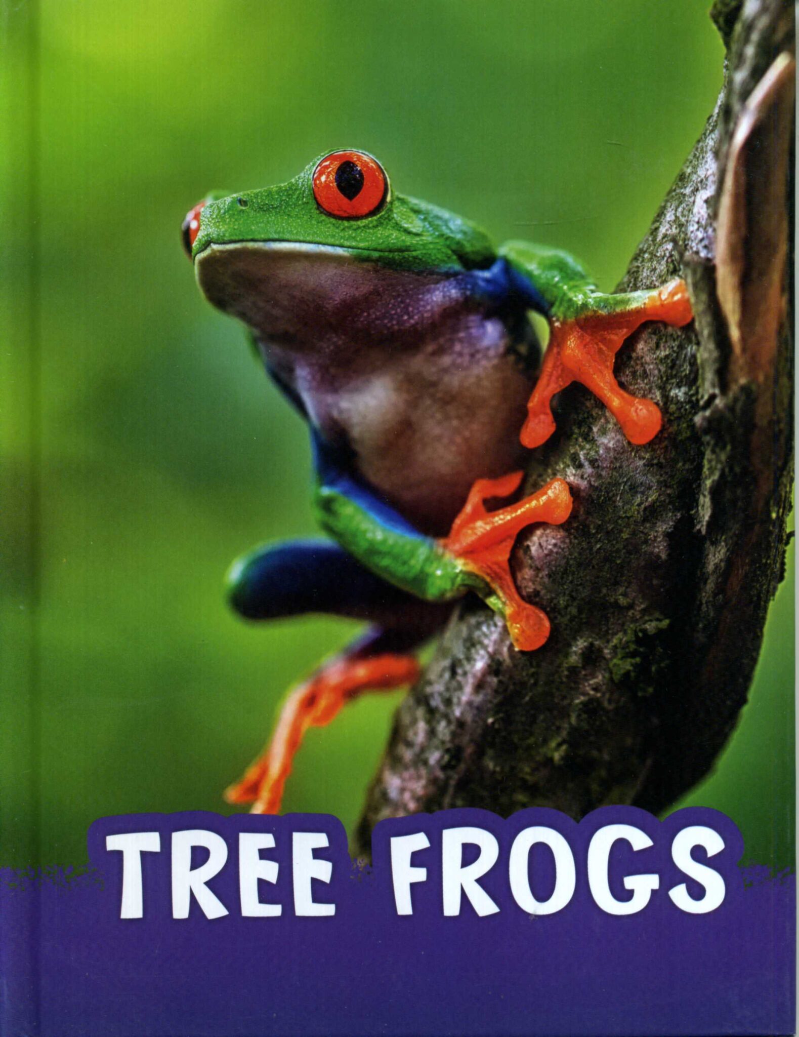 Tree Frogs - Laburnum House Educational