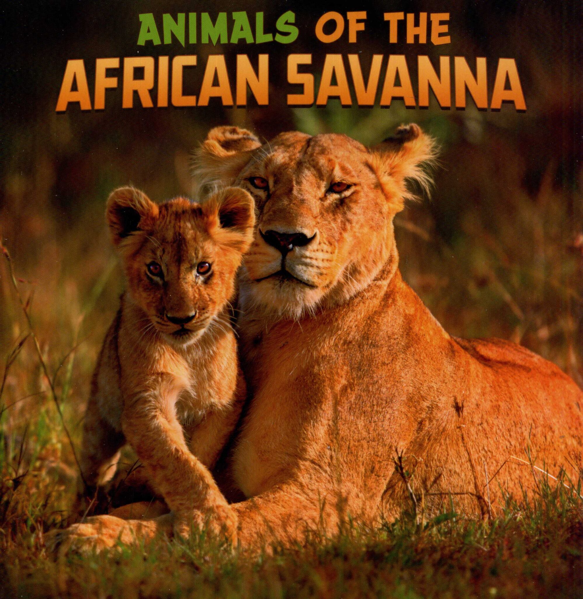 Animals Of The African Savanna - Laburnum House Educational