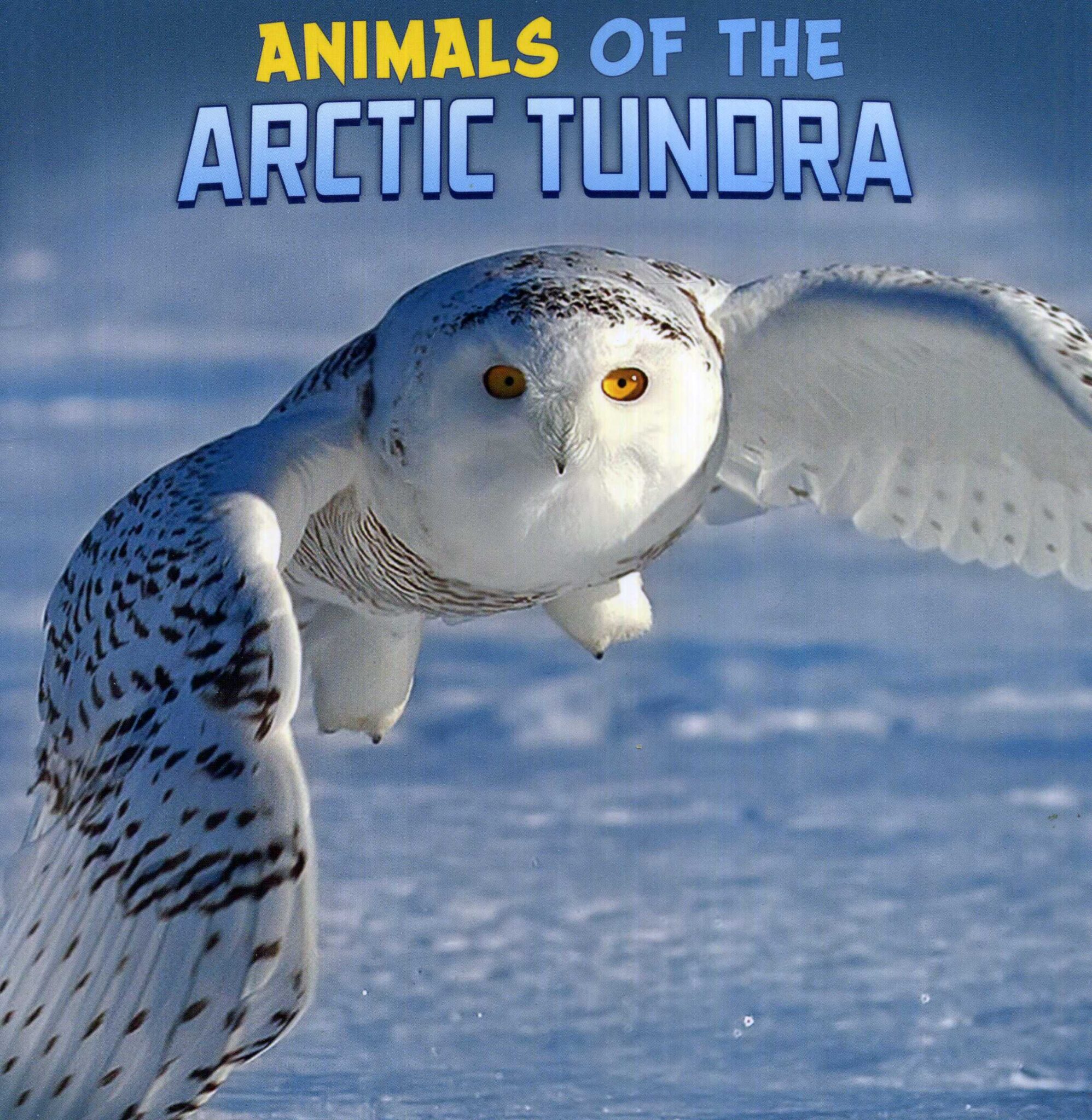 Animals Of The Arctic Tundra - Laburnum House Educational