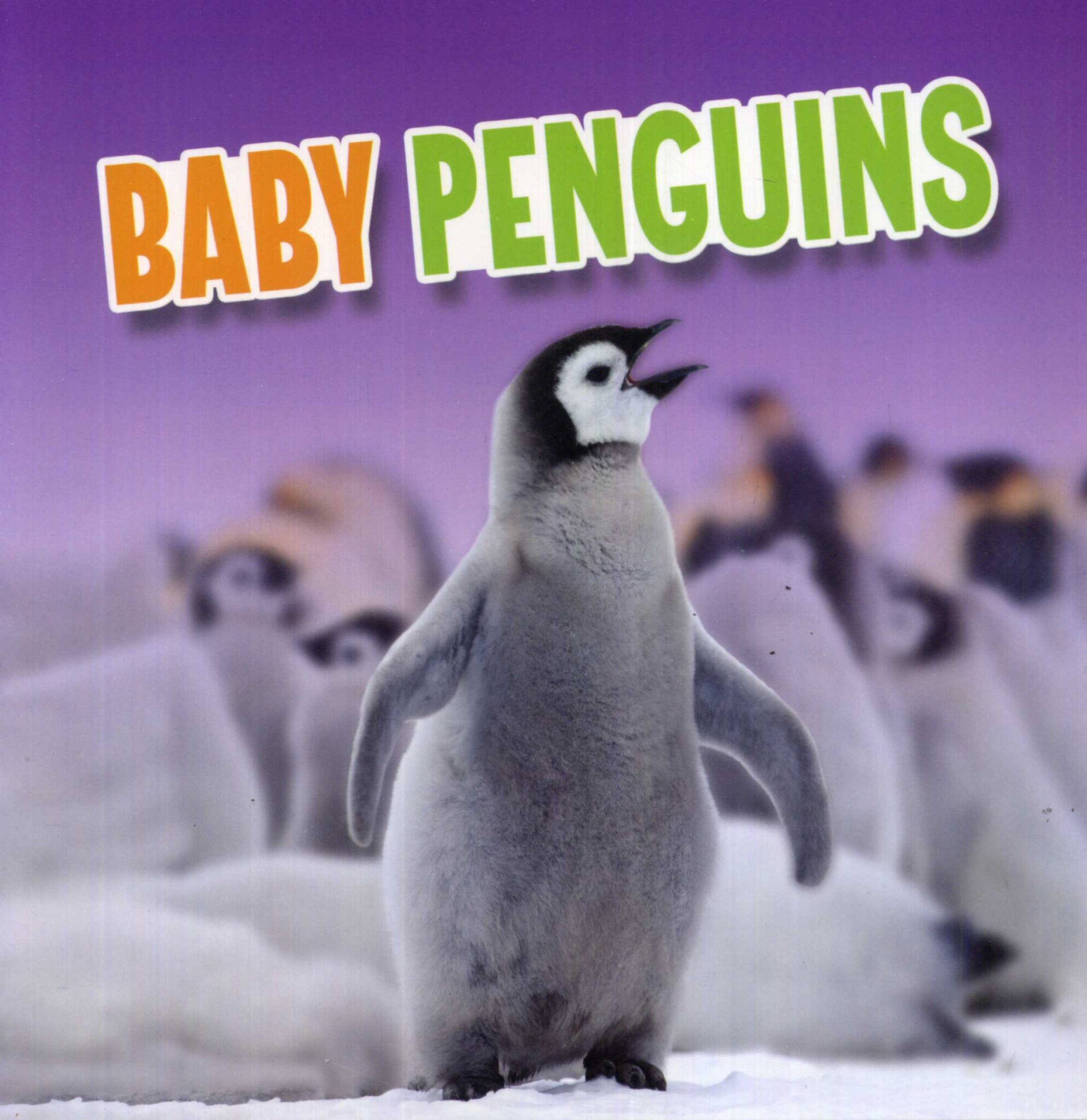 Baby Penguins - Laburnum House Educational