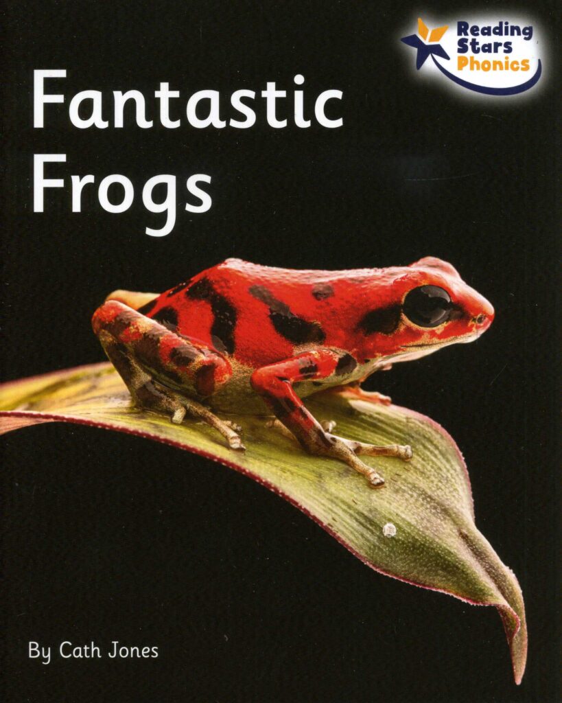 Fantastic Frogs - Laburnum House Educational