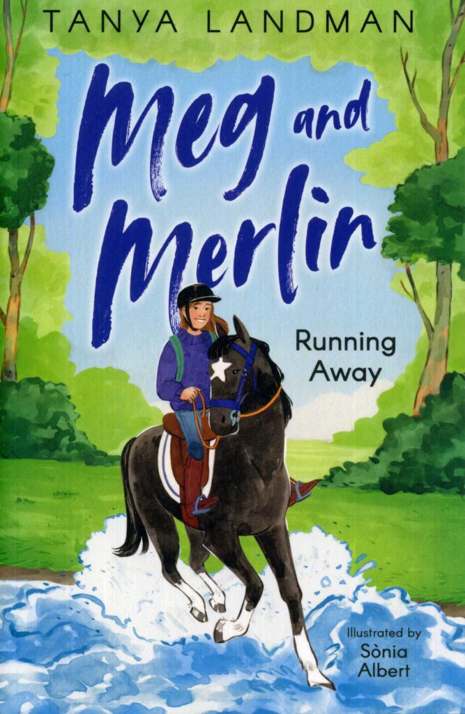 Meg And Merlin: Running Away - Laburnum House Educational