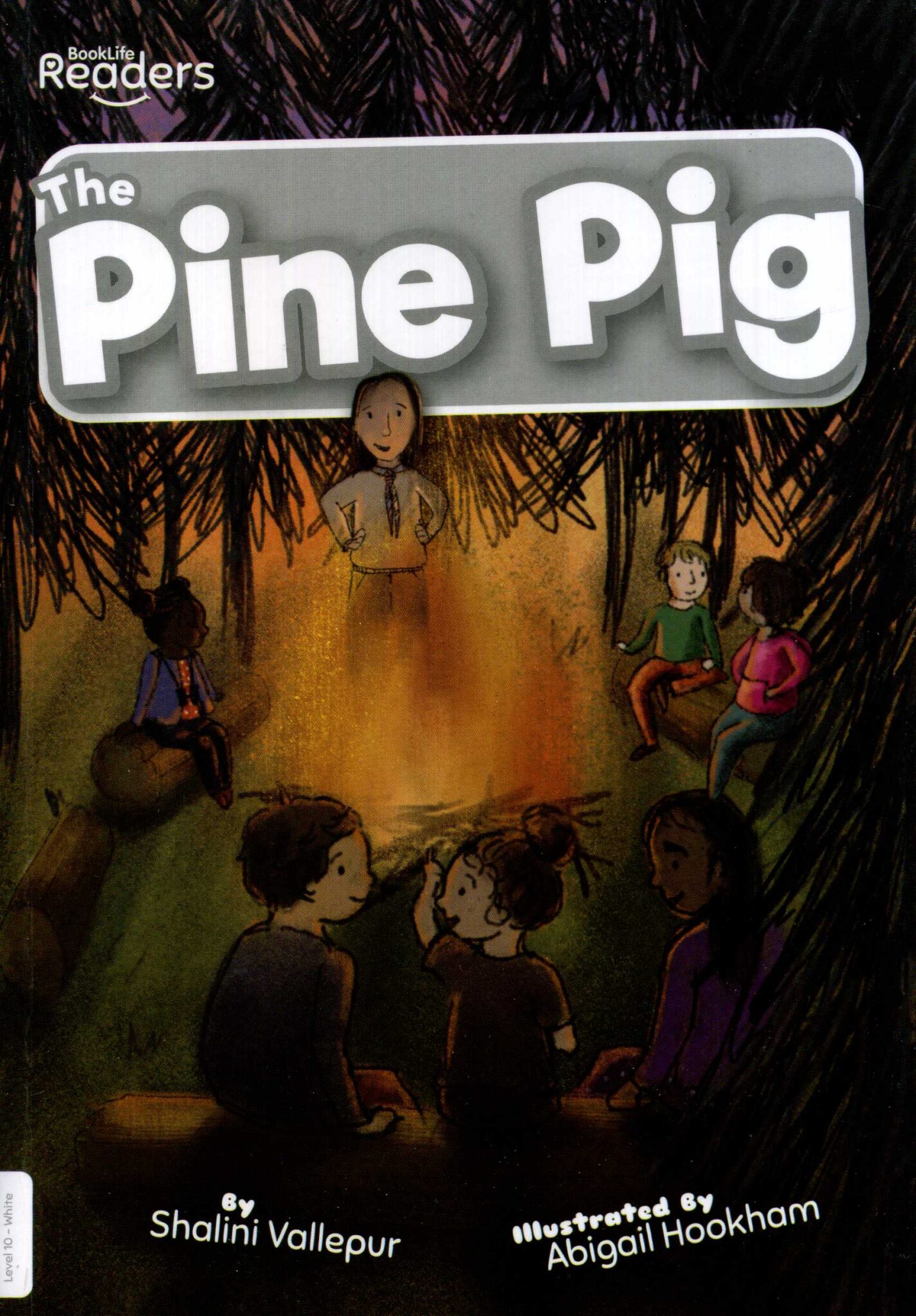 The Pine Pig - Laburnum House Educational