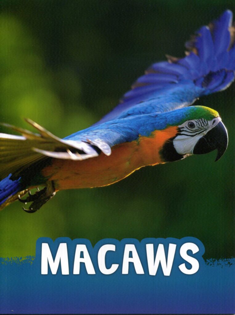 Macaws - Laburnum House Educational