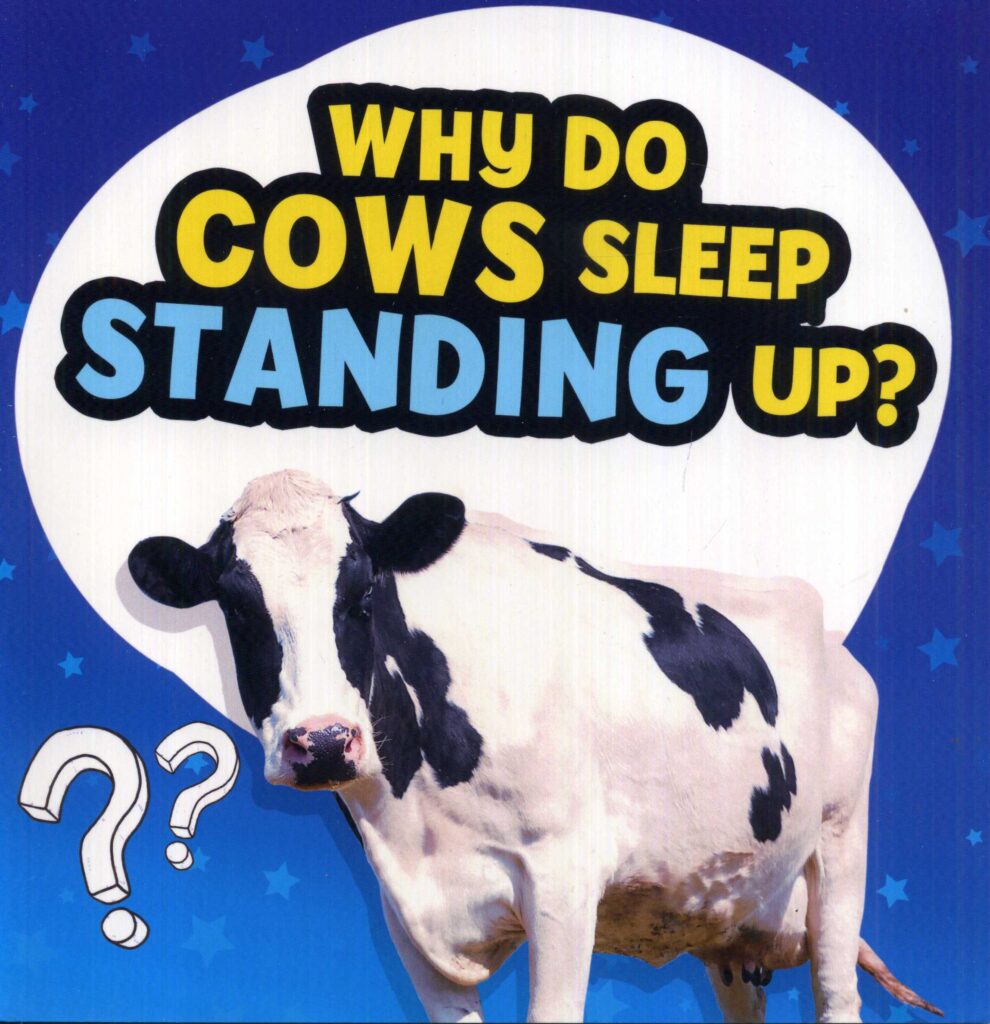 Why Do Cows Sleep Standing Up | 9781398215702 - Laburnum House Educational