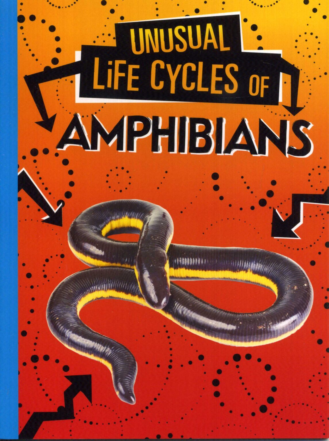 Unusual Life Cycles Of Amphibians - Laburnum House Educational
