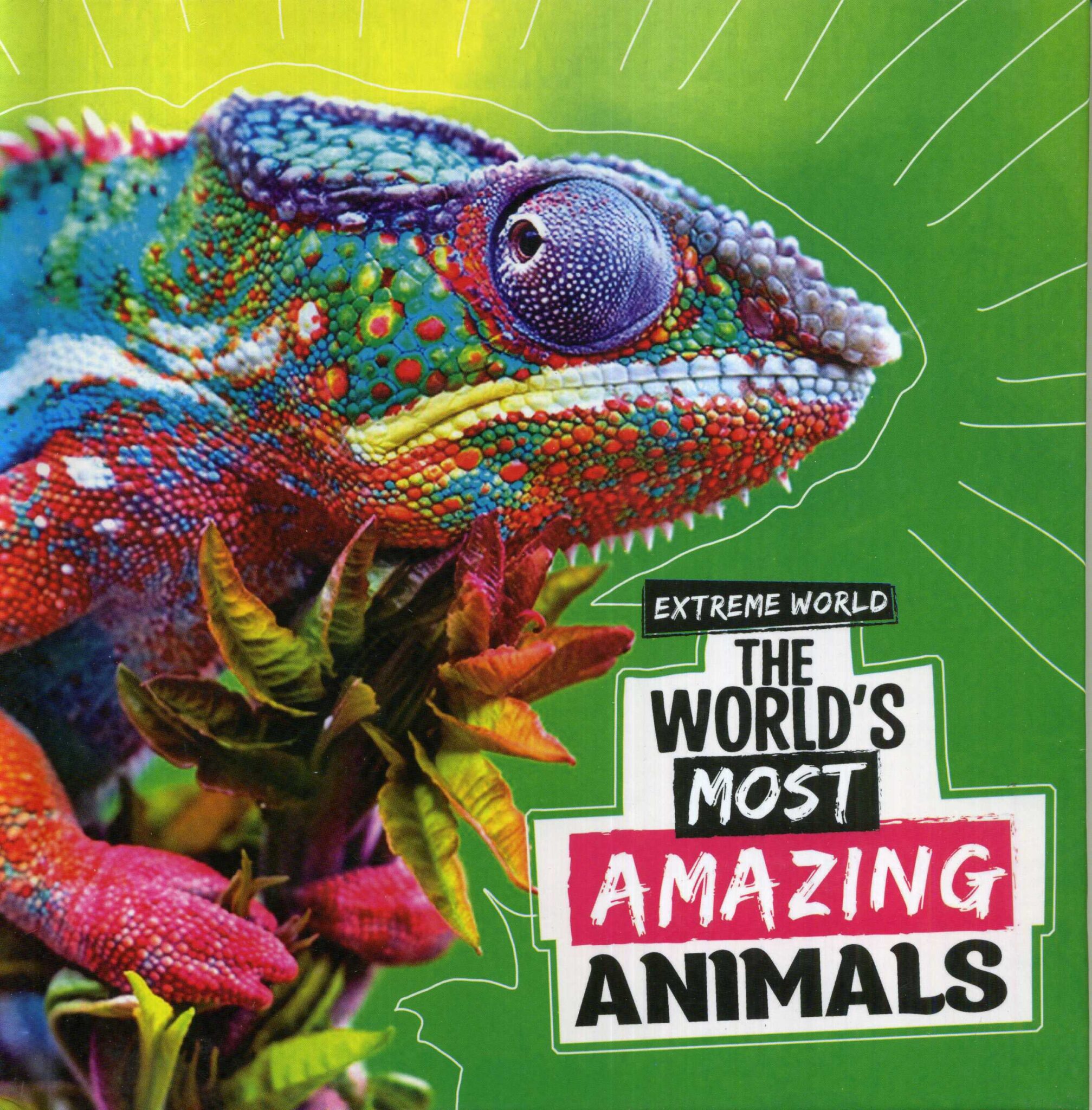 The World’s Most Amazing Animals - Laburnum House Educational