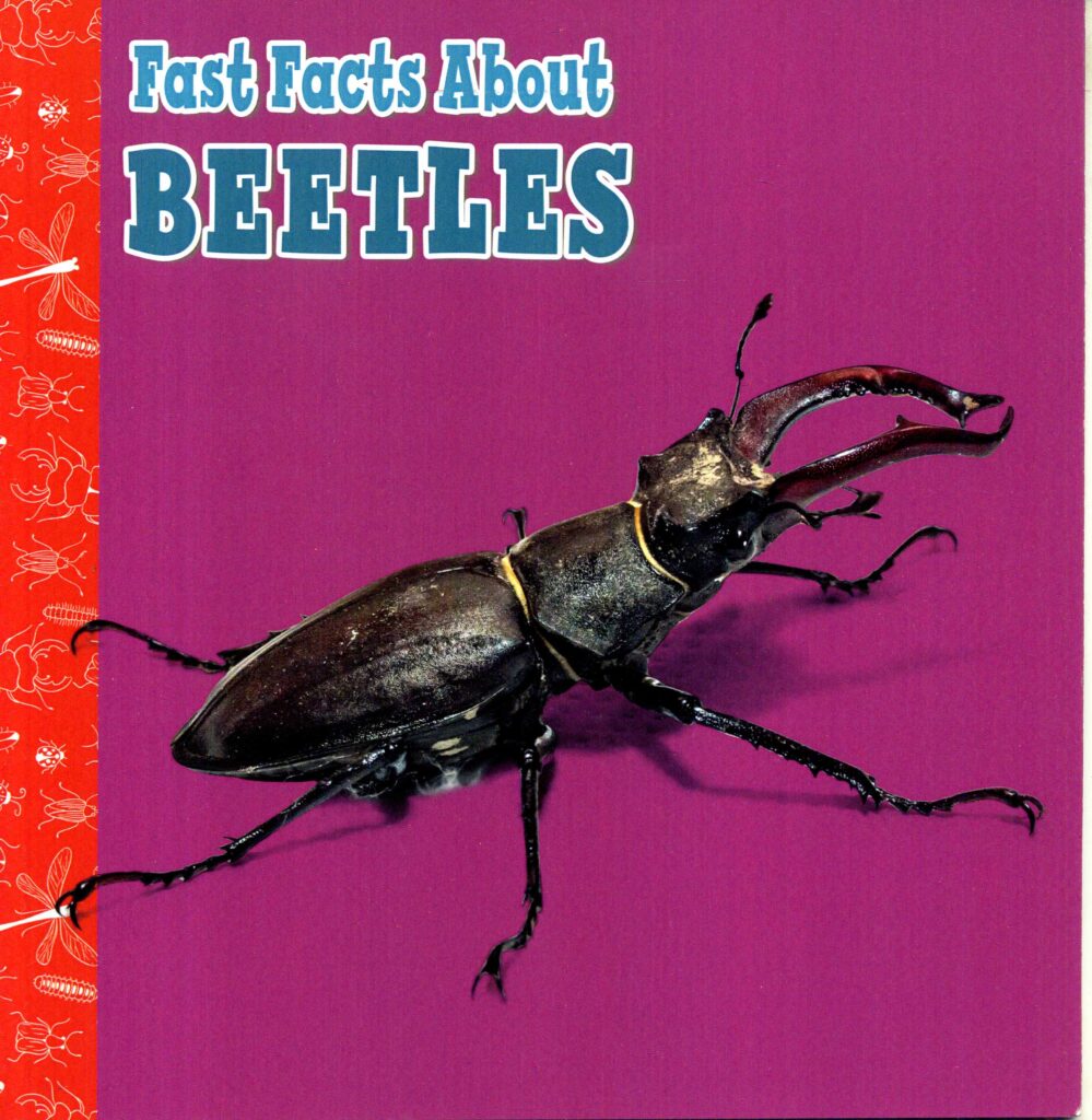 Beetles | 9781398213272 - Laburnum House Educational