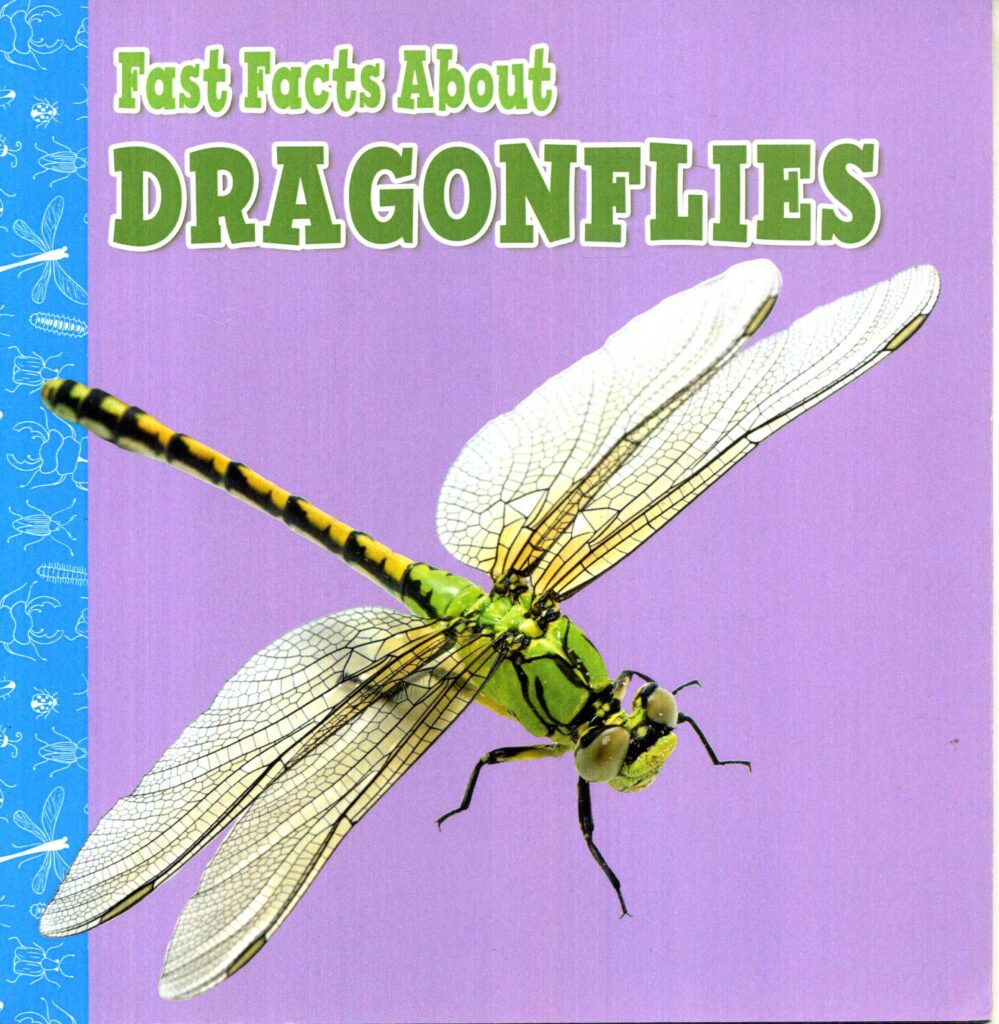 Dragonflies | 9781398213296 - Laburnum House Educational