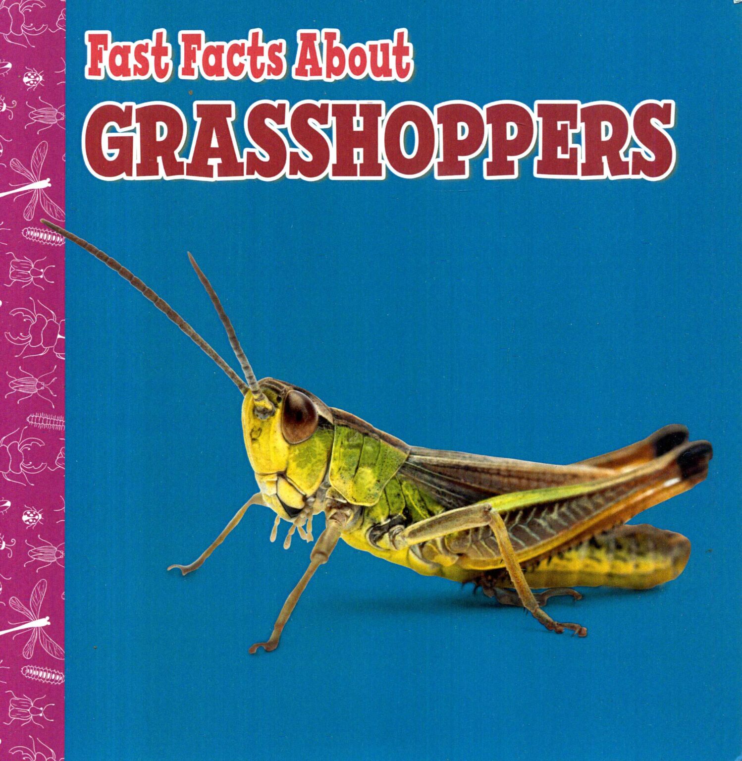 Grasshoppers | 9781398213234 - Laburnum House Educational
