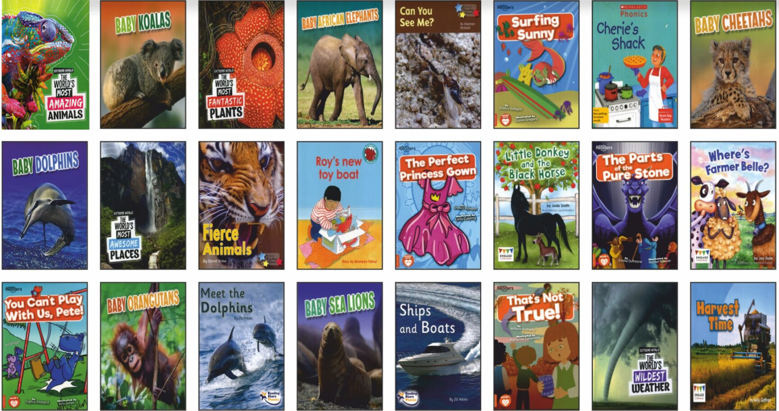 Orange Book Band Collection | 24 Books - Laburnum House Educational