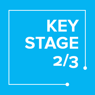 Dictionaries Designed to Help With Key Stage 3 Spellings - Laburnum ...