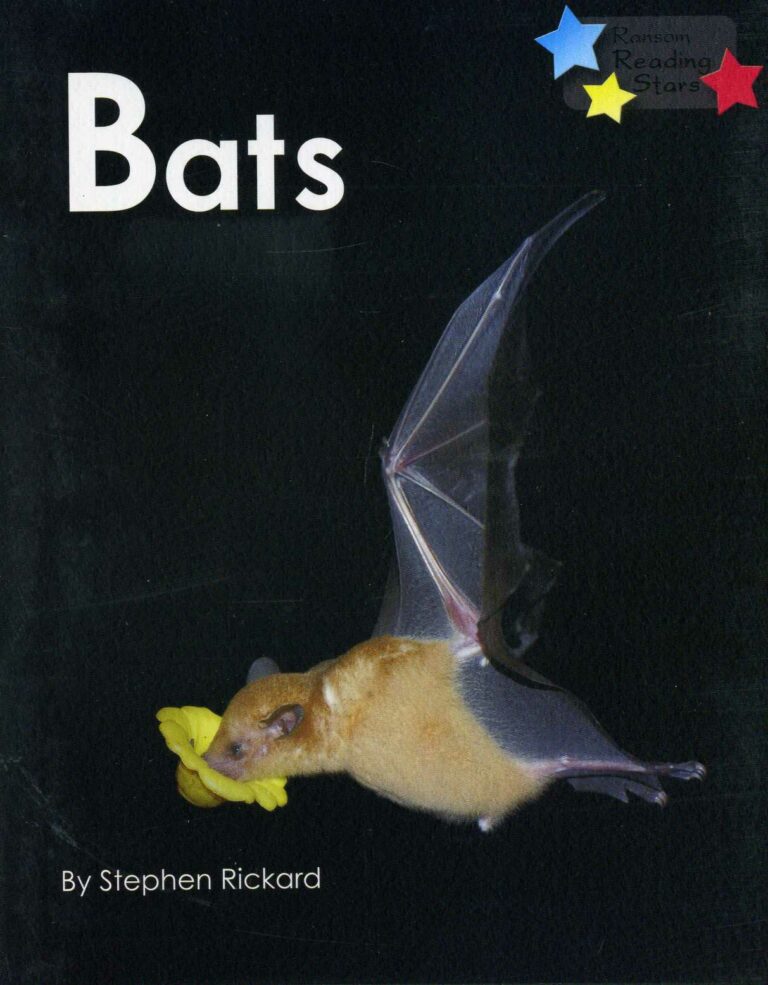 Bats | 9781781278130 - Laburnum House Educational