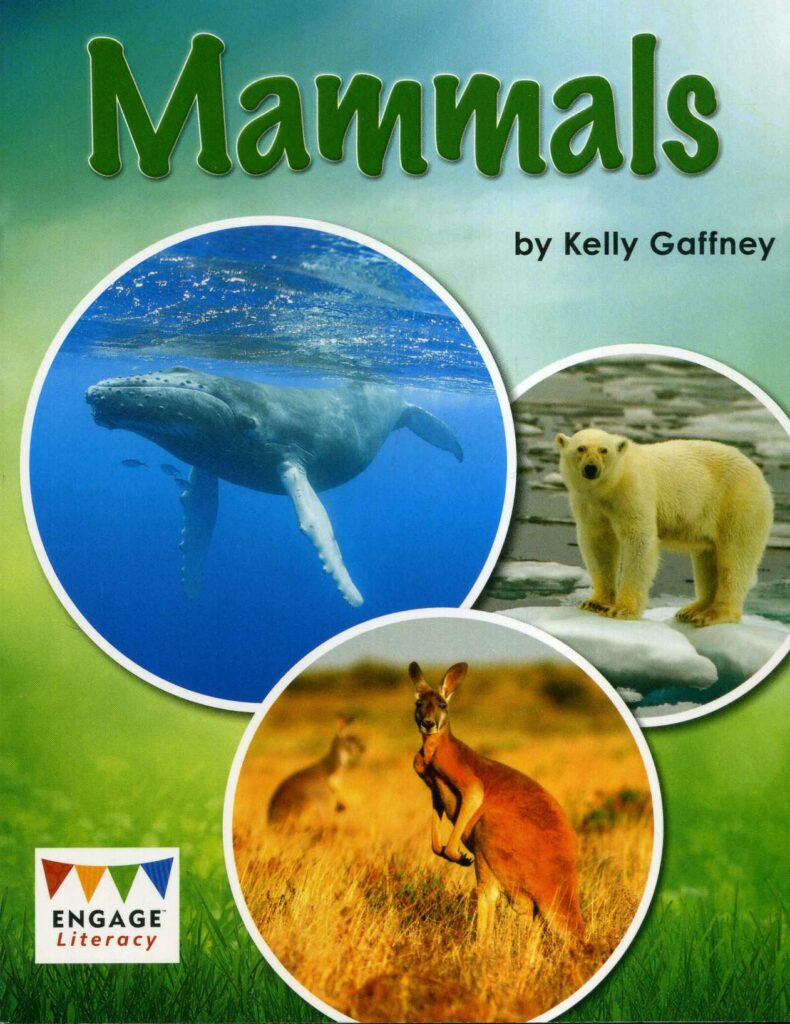 Mammals | 9781474731669 - Laburnum House Educational