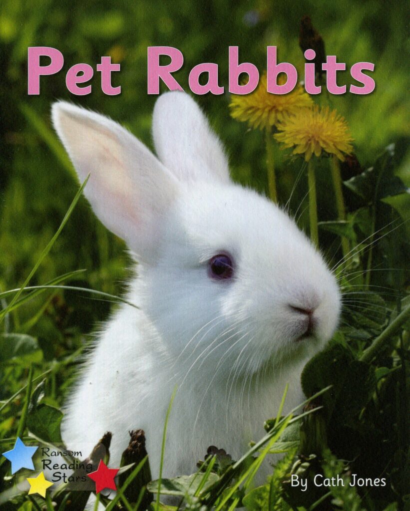 Pet Rabbits - Laburnum House Educational