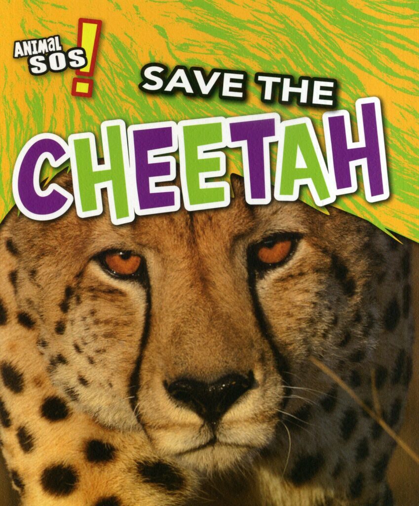 Save The Cheetah | 9781474797696 - Laburnum House Educational
